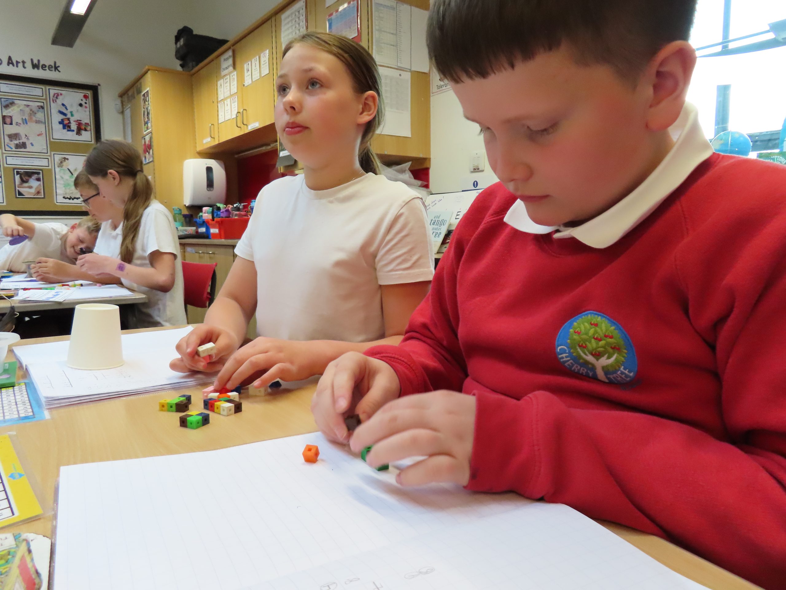 Mathematics - Cherry Tree Academy